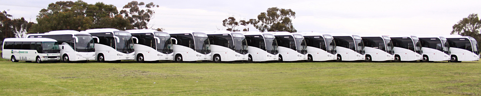 Aldinga Beach Primary School - Bus Services - Willunga Charter