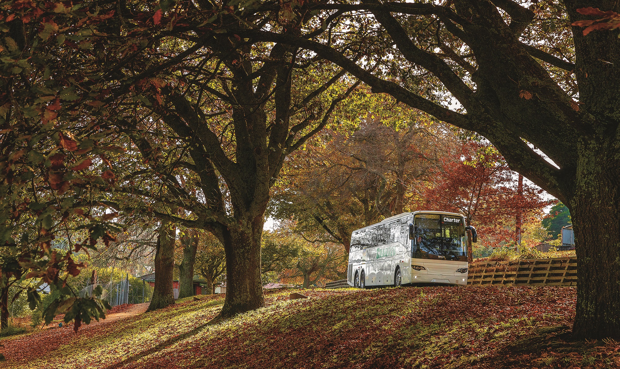 Willunga Charter Bus Hire - School Bus Timetables, Bus Charter